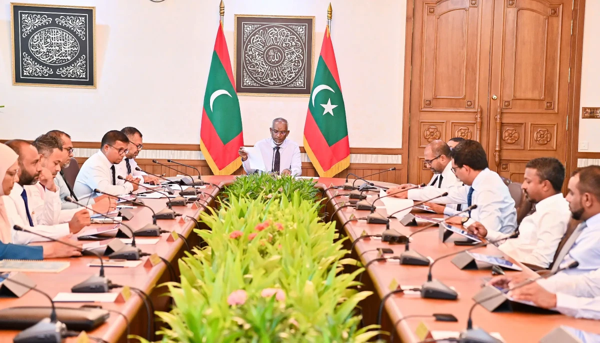 Maldives to merge 3 govt companies including RACL, FDC | Atoll Times