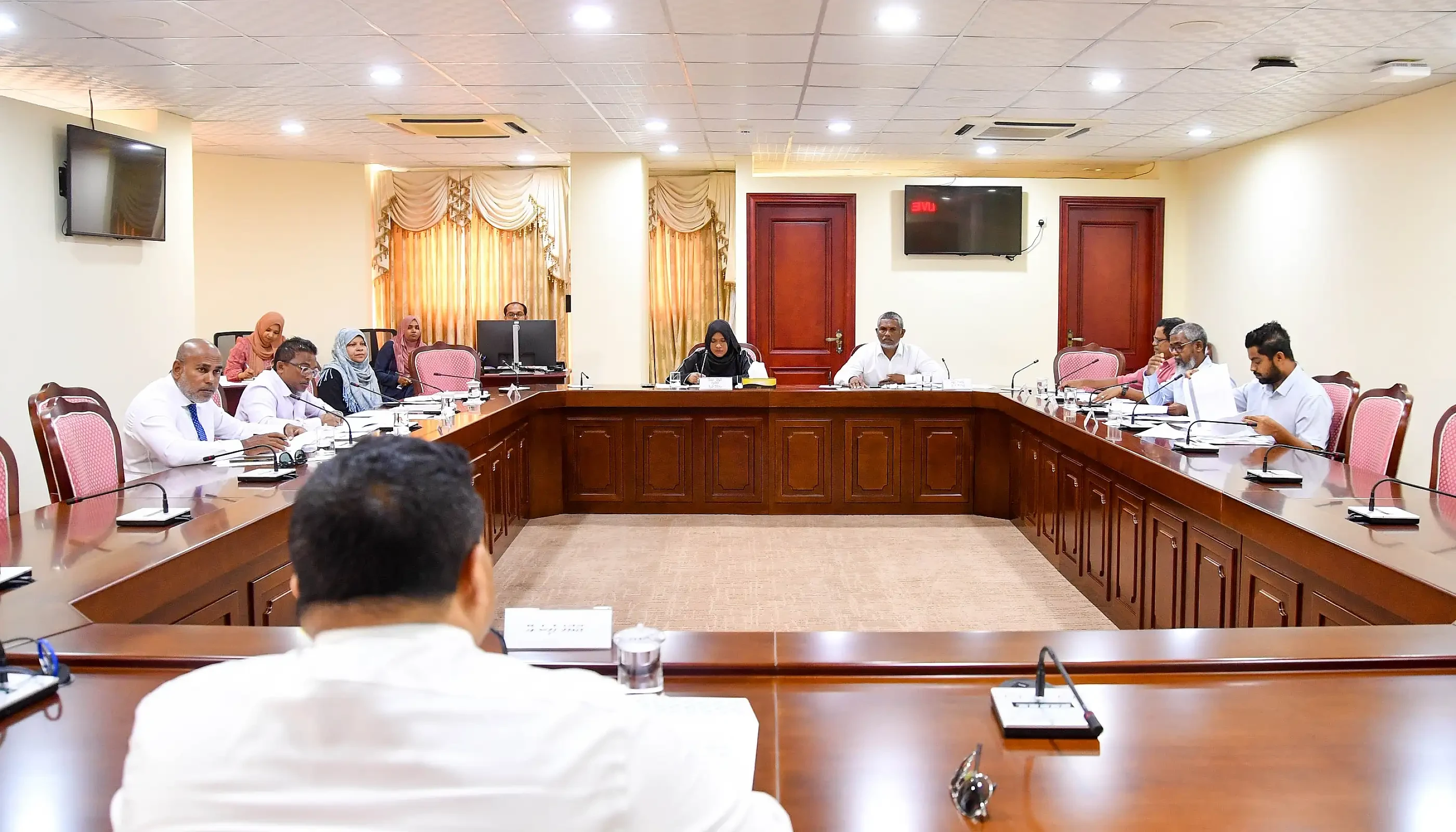 Committee rejects nominee for HRCM over allegations | Atoll Times